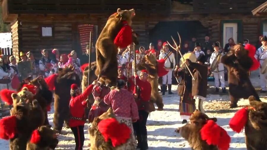 bear dance folk